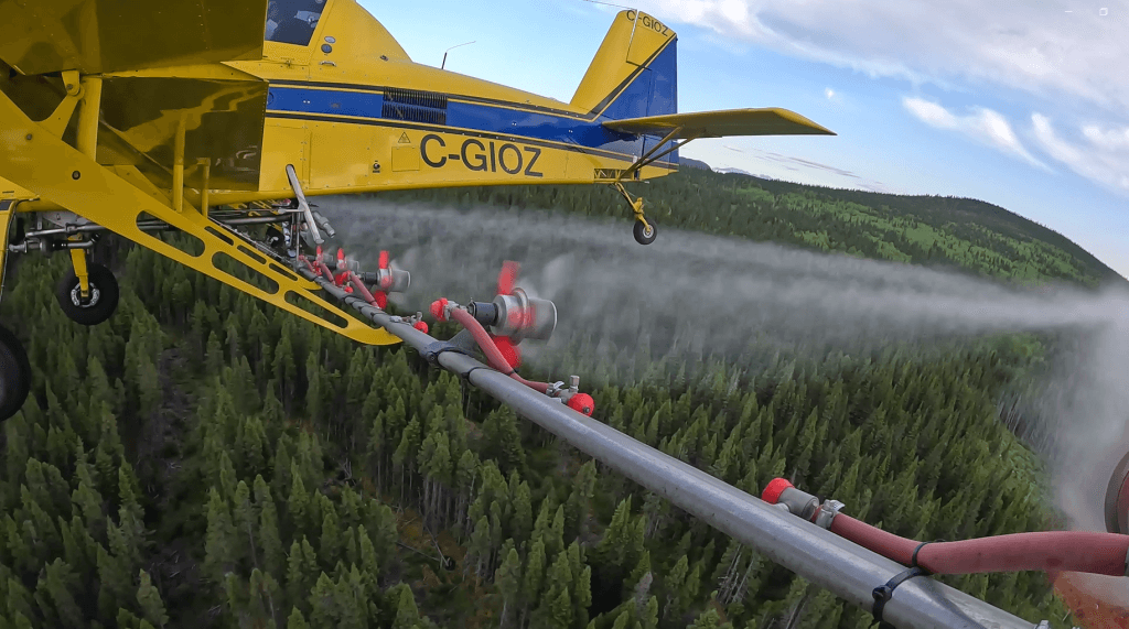 Btk Insecticide - SOPFIM